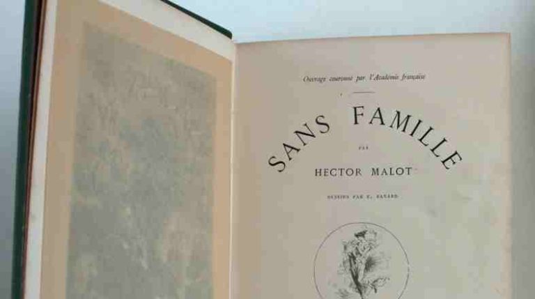 Résumé du roman « Sans Famille » d’Hector Malot – ZAKWELI