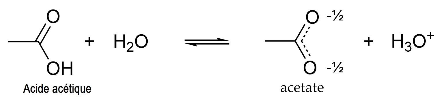 Acide acétique – ZAKWELI
